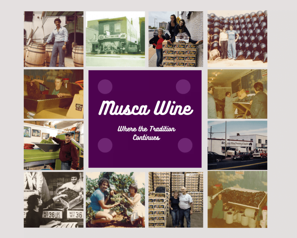 About - Musca Wine Pressing & Supplies Ltd.